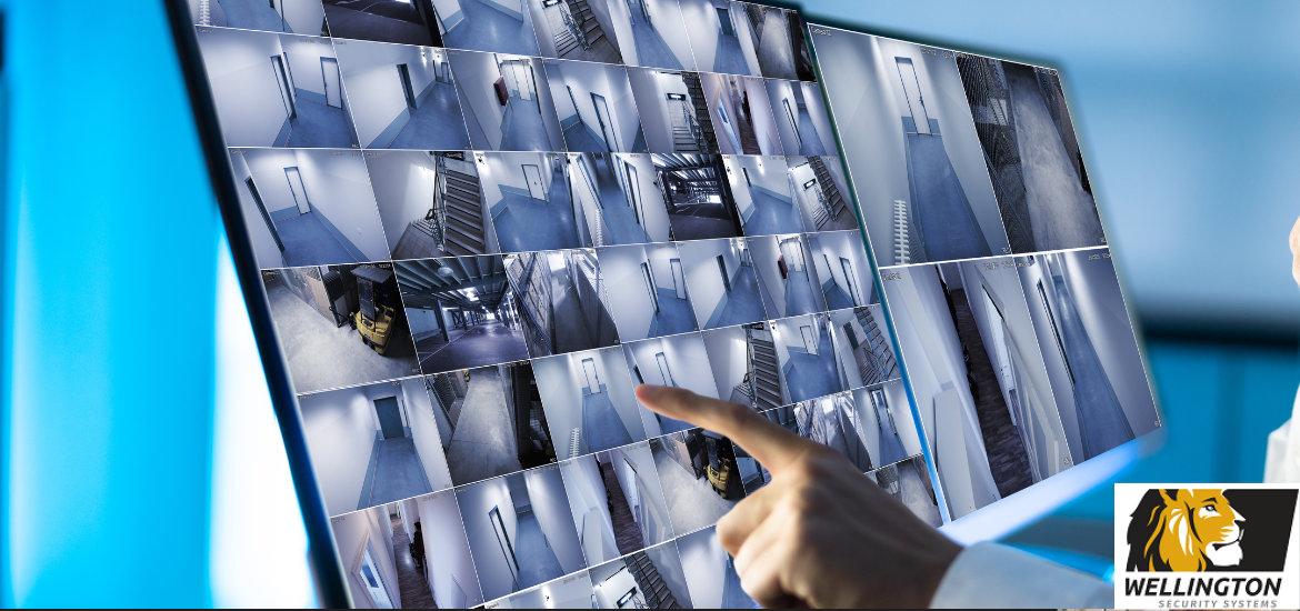 Edina Security Systems - Wellington Security